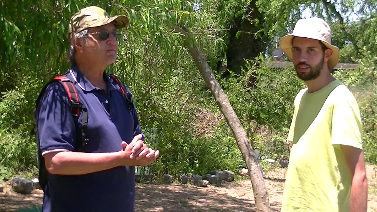Sombras de la naturaleza la leyenda del cacuy - YouTube