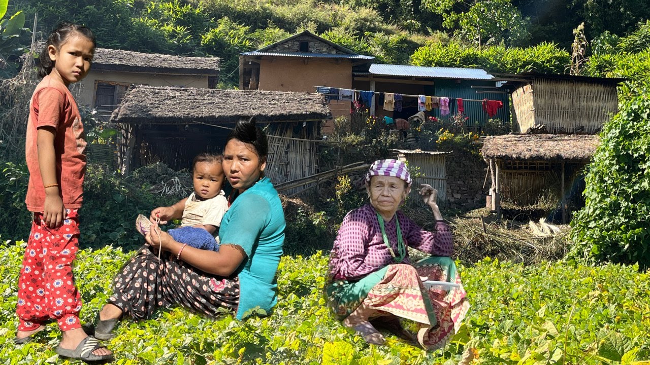 Simple Village Life In Nepal | Small-numbered of Indigenous People ...