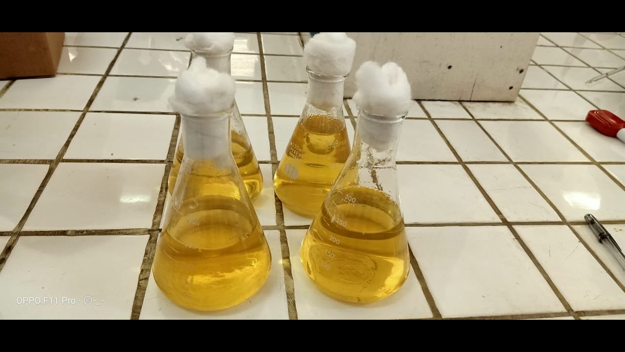 Pembuatan Media Agar PCA - POLTEKKES KEMENKES BANJARMASIN - YouTube