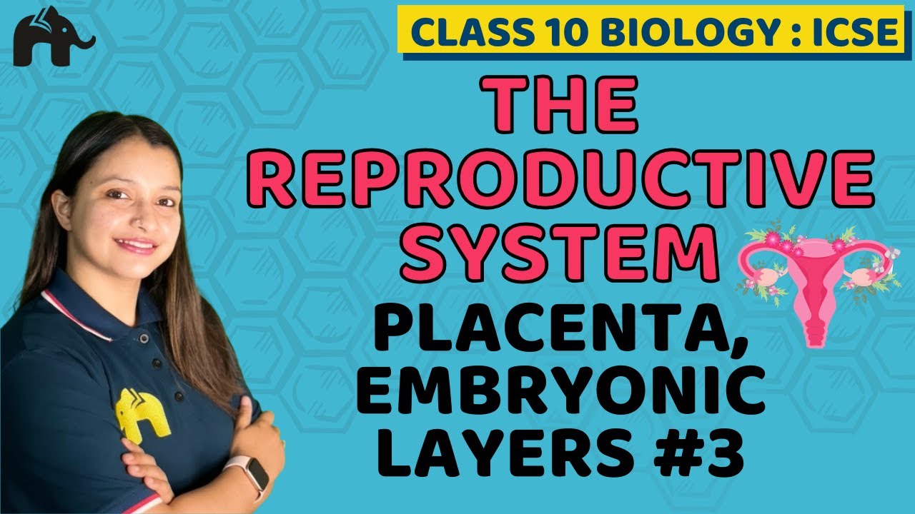 The Reproductive System Class 10 ICSE Biology Chapter 13 | Selina ...
