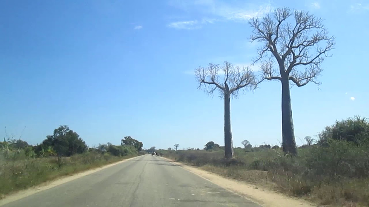 Voyage à Madagascar : RoadTrip entre Miandrivazo et Morondava - YouTube