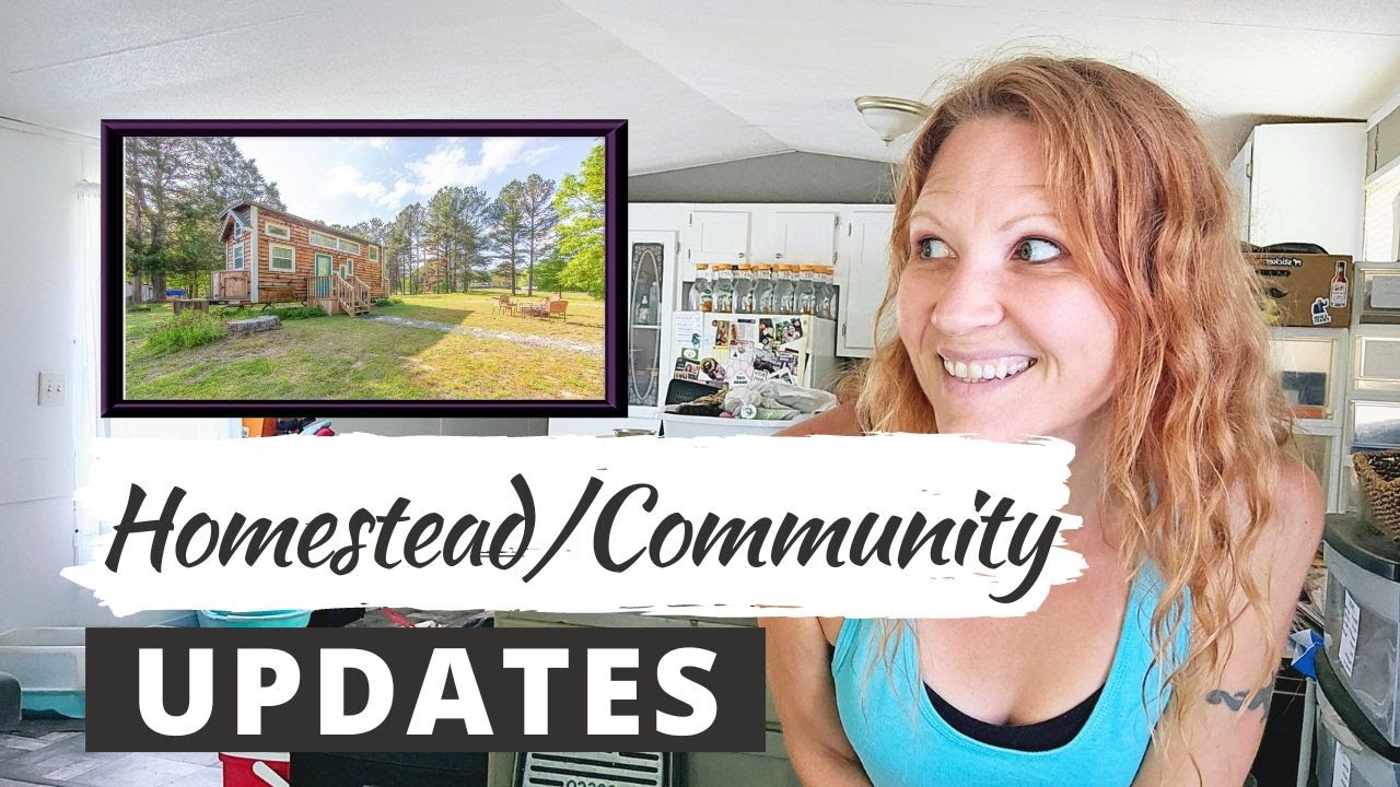 HOMESTEAD COMMUNITY UPDATES: Progress Since The Previous Year - YouTube