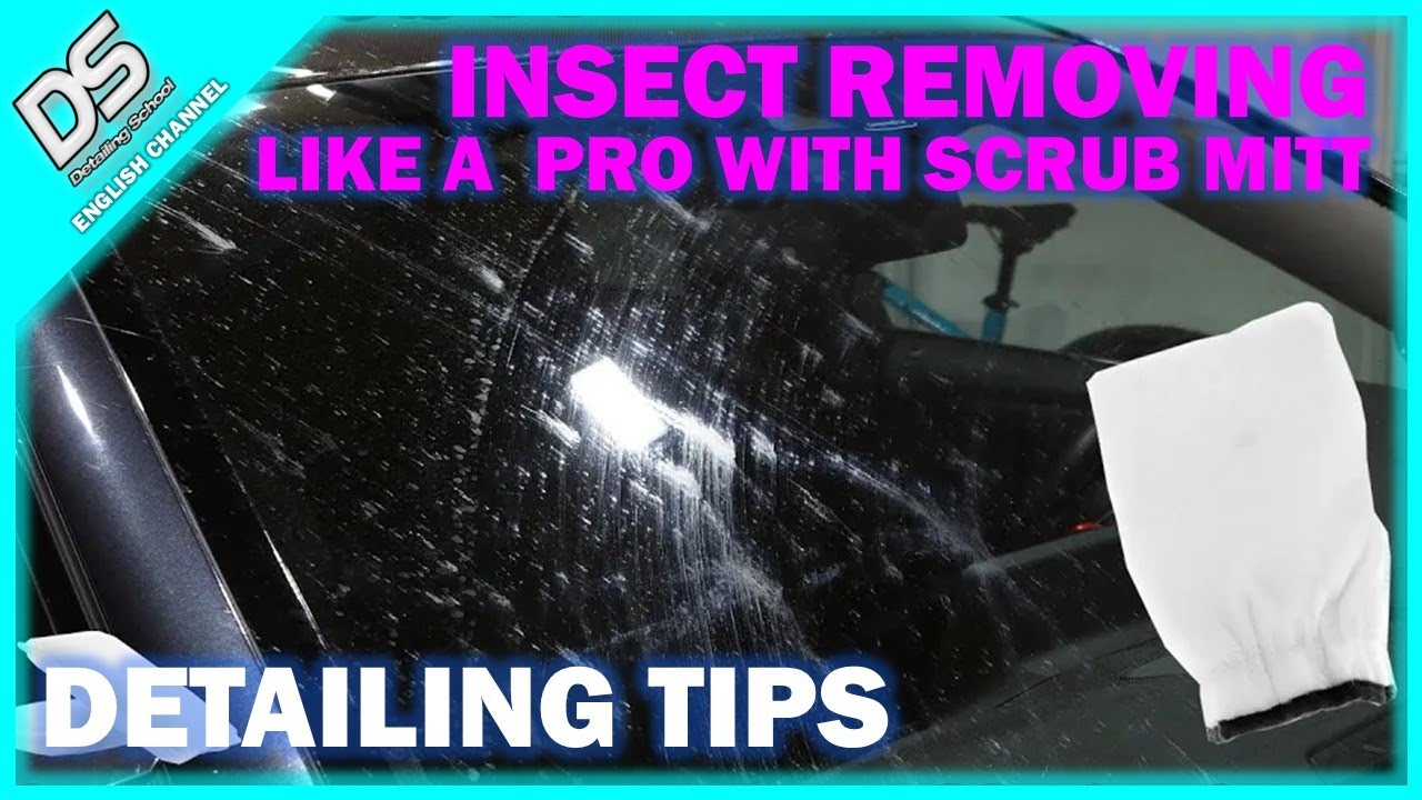 You Must Definitely Try This! The Scrub Fiber Removes Insect Residue ...