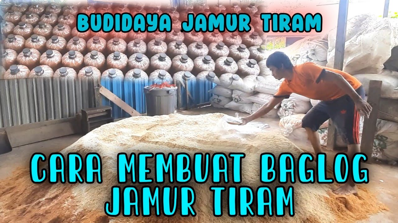 Cara membuat baglog jamur tiram @IrwanSampe - YouTube