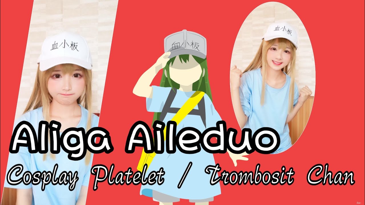 [Aliga Aileduo] Cosplay Trombosit chan ( cosplay Platelet Hataraku ...