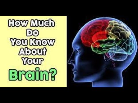How well do you know your brain? 5 Fascinating Facts about our Brain ...