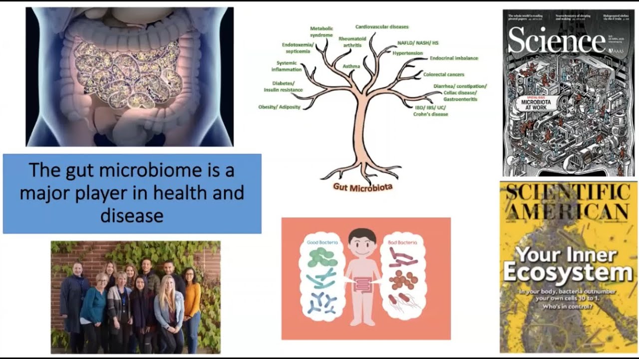 Gut health: A key to unlocking better health and wellbeing - YouTube