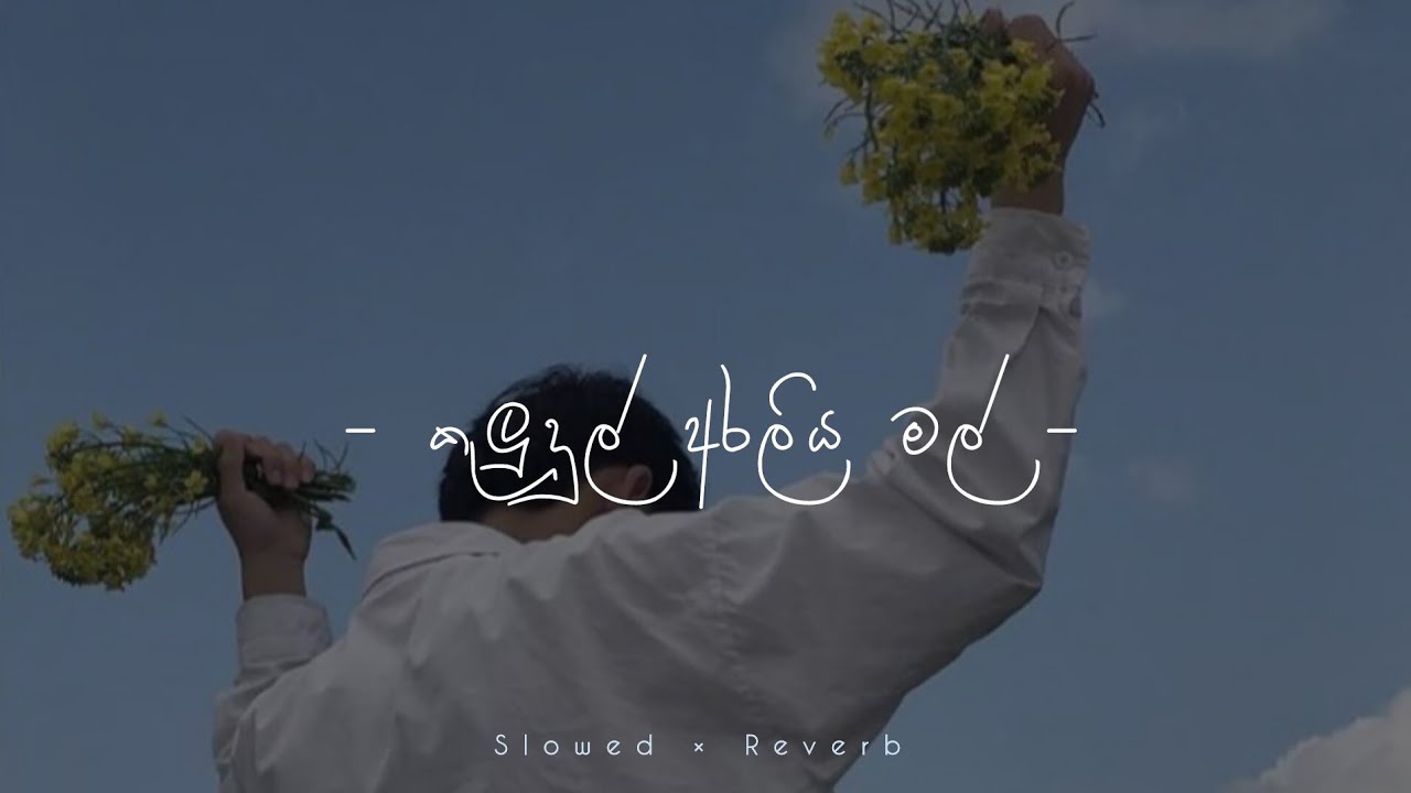 Kulundul Araliya Mal slowed & Reverb | (කුළුදුල් අරලිය මල්) Dhyan ...