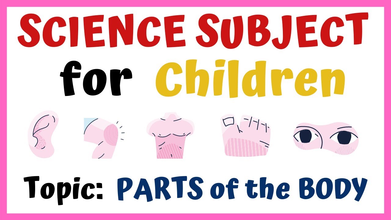 PARTS of the BODY ---For Kinder and Grade 1----LEARN SCIENCE the Easy ...