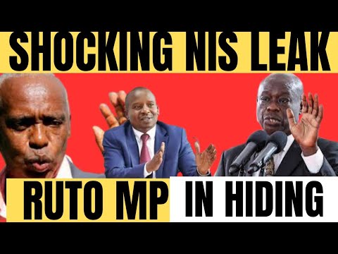 RUTO SHOCKED AS HIS KIENI MP WAINAINA FORCED TO PLEAD with RESIDENCE ...
