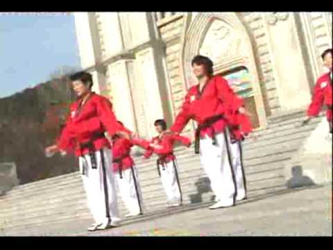 Poomsae Taekwon Dance Taegeuk 1 Jang.mpg - YouTube