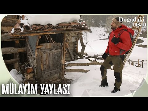 Mülayim Yaylası'nda kış mevsimi | Doğadaki İnsan 3. Bölüm