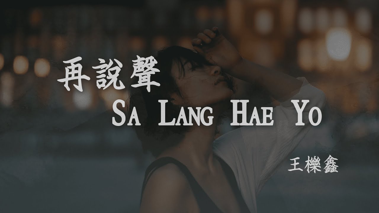 王櫟鑫 I 再說聲Sa Lang Hae Yo『一個人回憶過去究竟誰錯了 可我還是希望你永遠是幸福的』【高音質 動態歌詞 ...