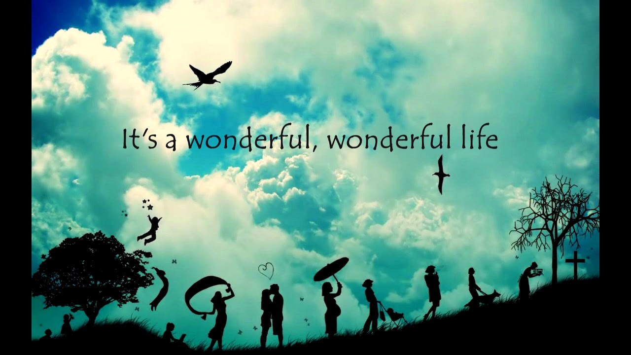 Wonderful life (Cover) - YouTube