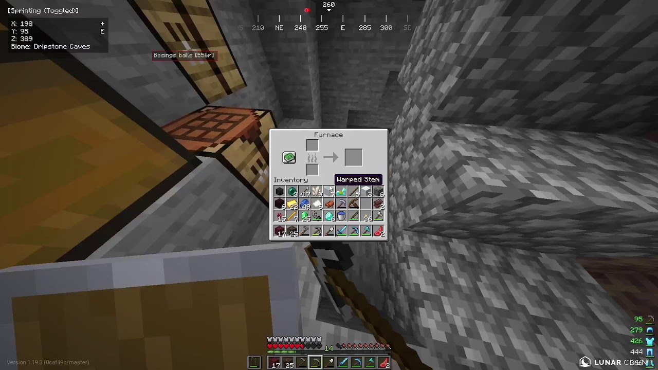 The Insanity Bingus SMP with some silly school friends again - YouTube