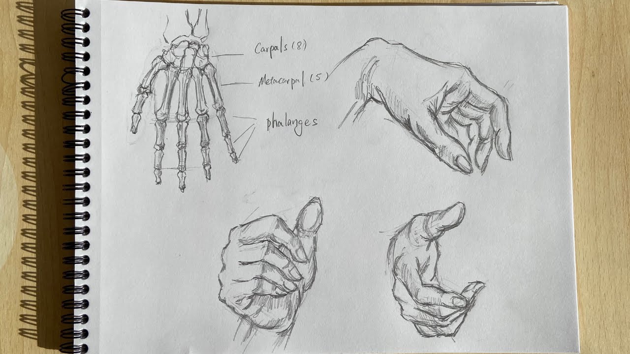 [Human Body Drawing Practice Series -1] Hand Sketch - YouTube