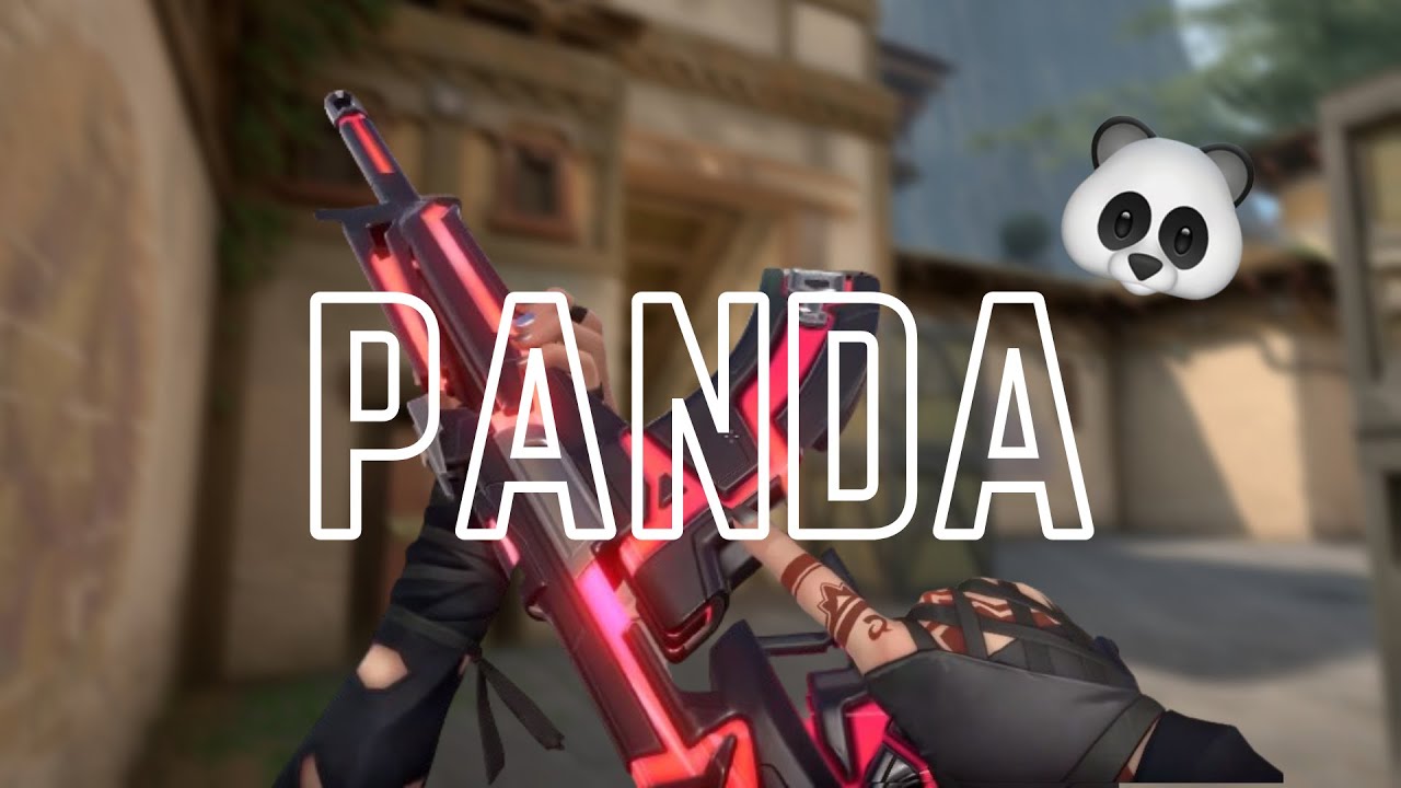 Panda Panda Panda 🐼🔥 (Valorant Montage) - YouTube