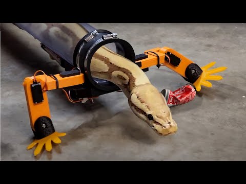 Watch a snake wearing robot trousers strut like a lizard | Popular Science