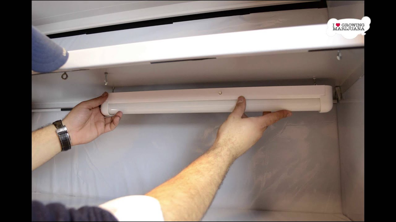 Marijuana Clone Box In 7 Steps - YouTube