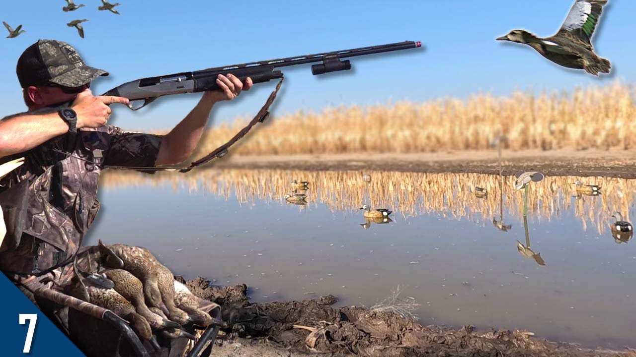 Duck Hunting a TINY Pond in a CORNFIELD! (Limited Out) | 28 Gauge Duck ...