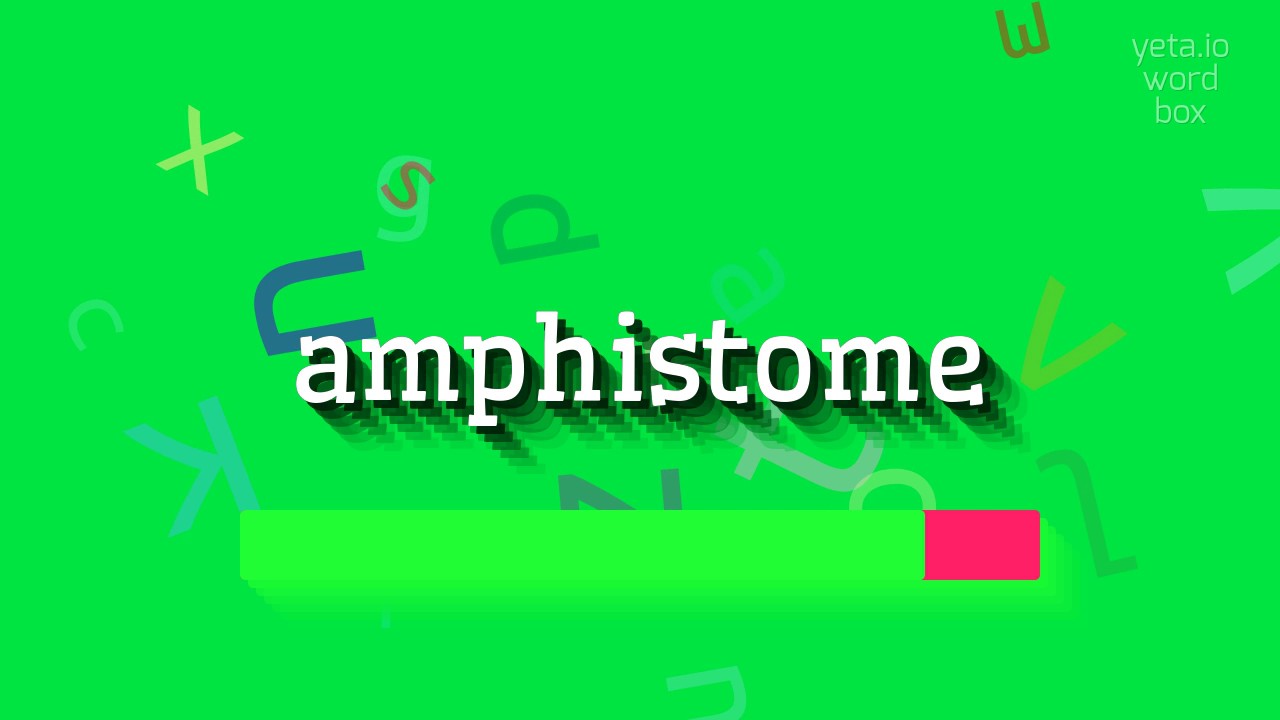 AMPHISTOME - How to say Amphistome? - YouTube
