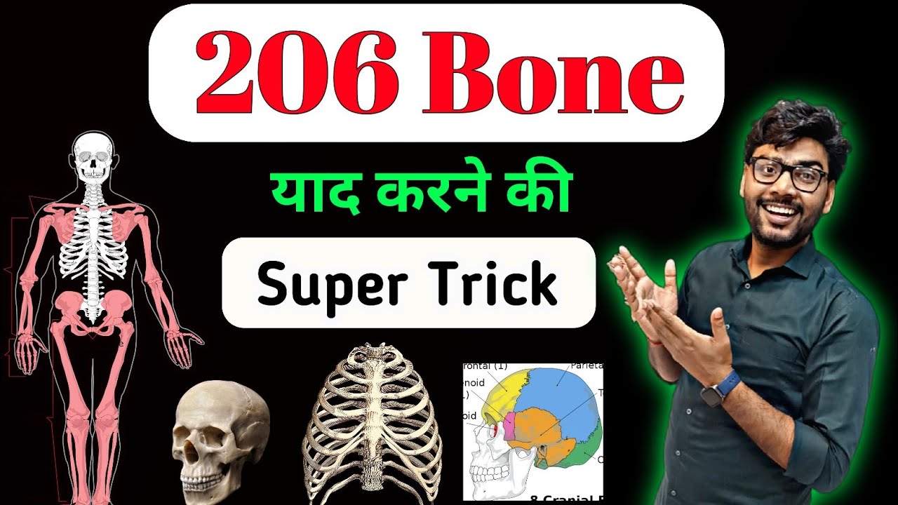 Trick To Learn All 206 Bones Of Human Body Locomotion And Movement trick-to-learn-all-206-bones-of-human-body-locomotion-and-movement