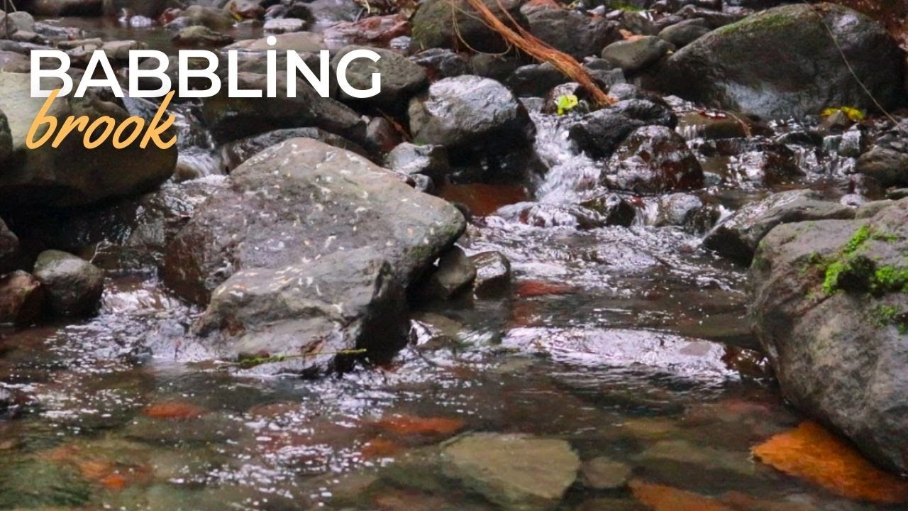 Babbling Brook Harmony - Peaceful Waterflow - Gentle Creek Soundscape ...