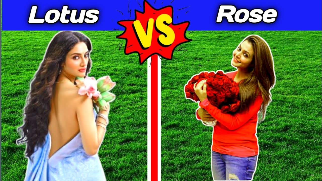 গোলাপ V/S পদ্ম | Rose VS Lotus | TULLO MULLO - YouTube