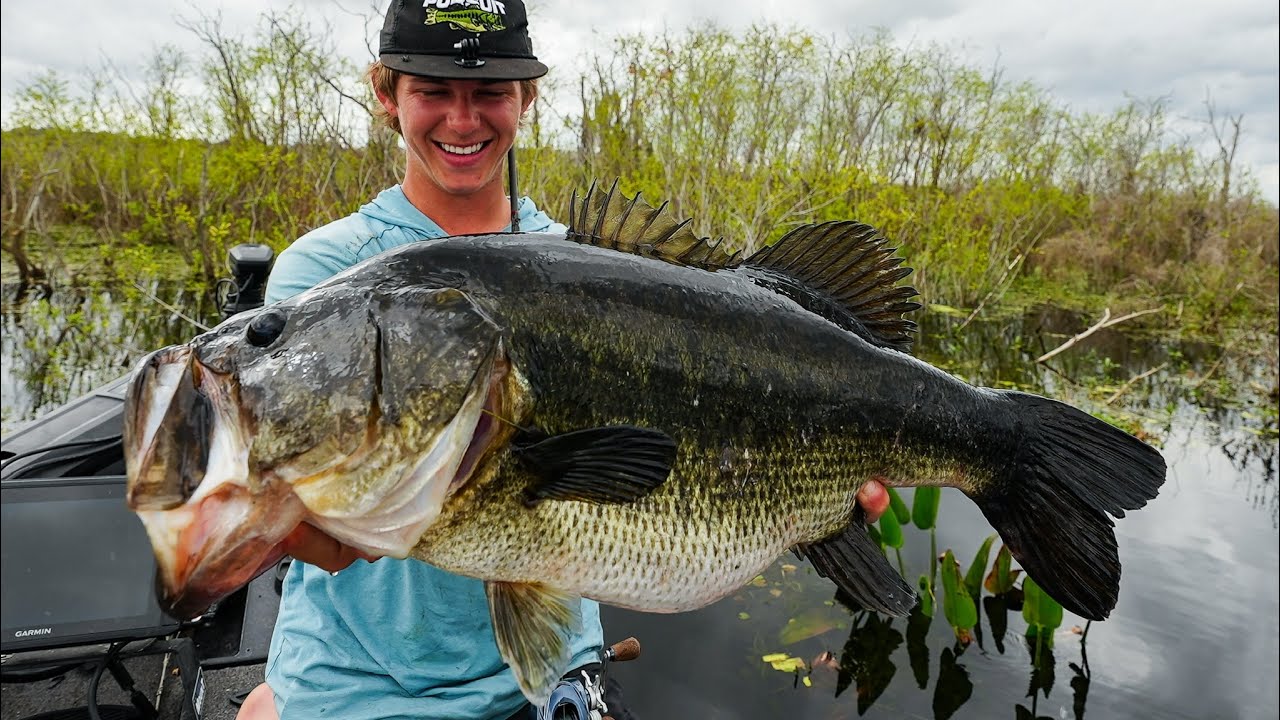 HUGE Bass Caught Deep In The Swamp - YouTube