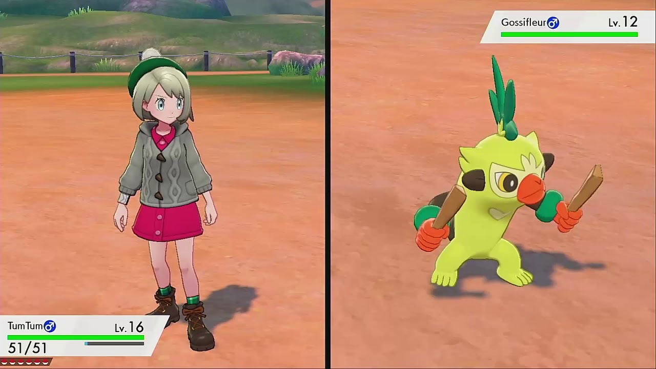 5. Learning the Ropes - Pokémon Shield - YouTube