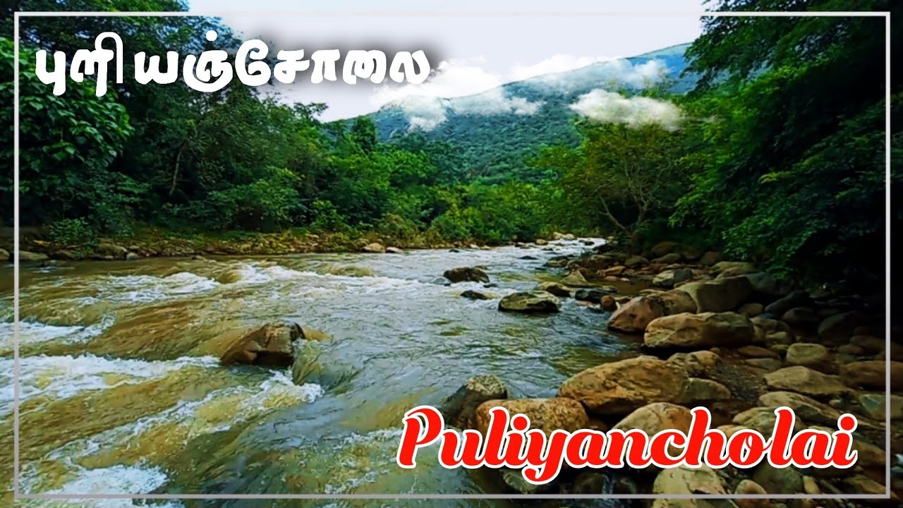 Puliyancholai Falls | புளியஞ்சோலை | Foot Hills of Kollimalai ...