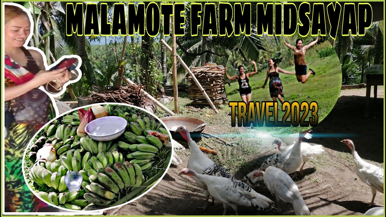 4 DAYS AND 3 NIGHTS | MALAMOTE FARM MIDSAYAP | TRAVEL AND TOUR VLOGS ...