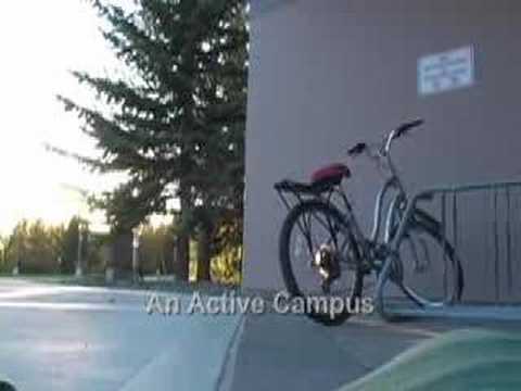 Sara Perman - YouTube