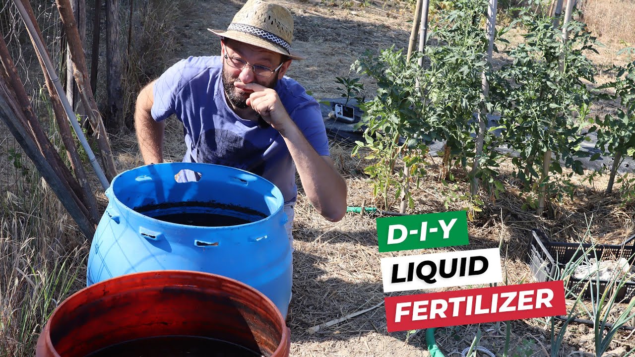 DIY LIQUID FERTILIZER: how to produce it - YouTube