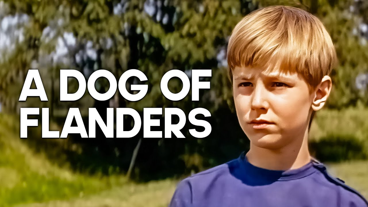 A Dog of Flanders | Emotional Family Film - YouTube