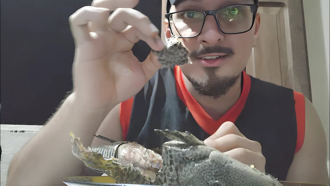 Acari bodó o famoso peixe do Amazonas, degustação com farinha da baguda ...