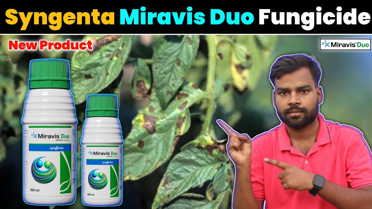 Miravis Duo Syngenta New Product | अब मचेगा धमाल Miravis Duo Fungicide ...