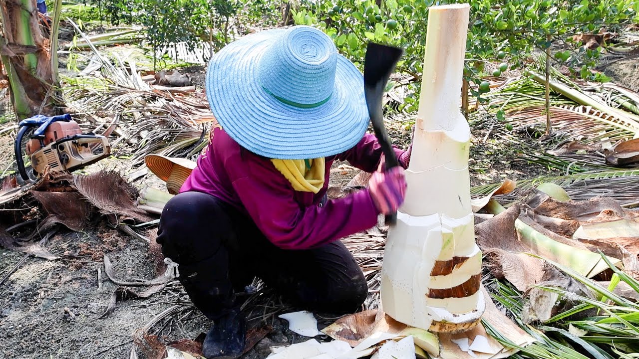 Unique Work! Dwarf Coconut Trees Cutting Skills - YouTube