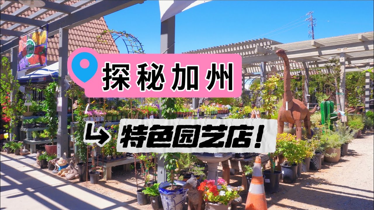 exploring a garden center in Solvang, California探秘美国加州小镇开业70余年园艺店 - YouTube