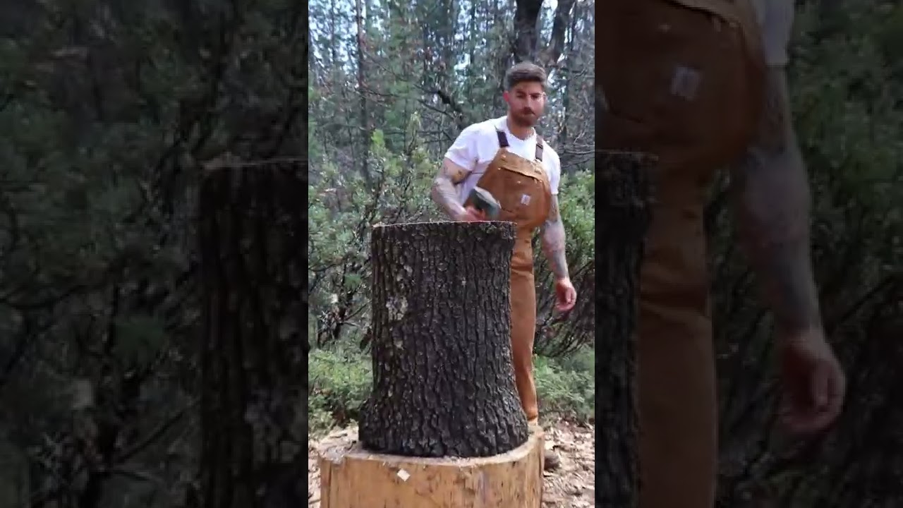 The chopping work of handsome Thoren Bradley in the forest #Shorts 2 ...