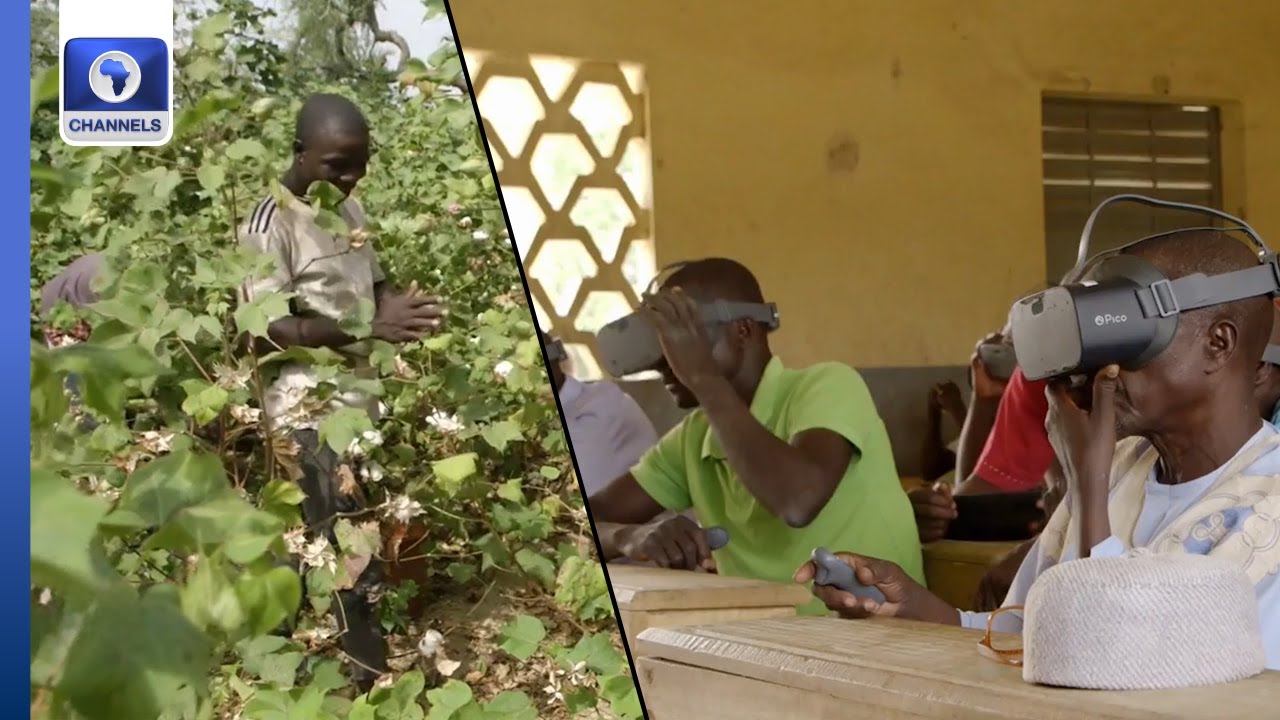 Virtual Reality Helps Cameroon Cotton Farmers Maximize Yields + Eco ...