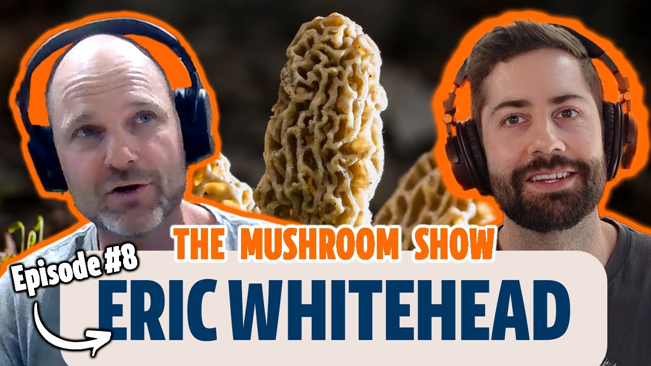 The Wild Business of Wild Mushrooms - Eric Whitehead (The Mushroom Show ...