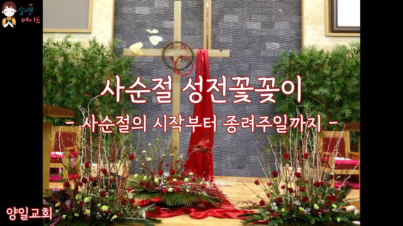 사순절 성전꽃꽂이 사순절의 시작부터 종려주일 고난주간 까지 Youtube