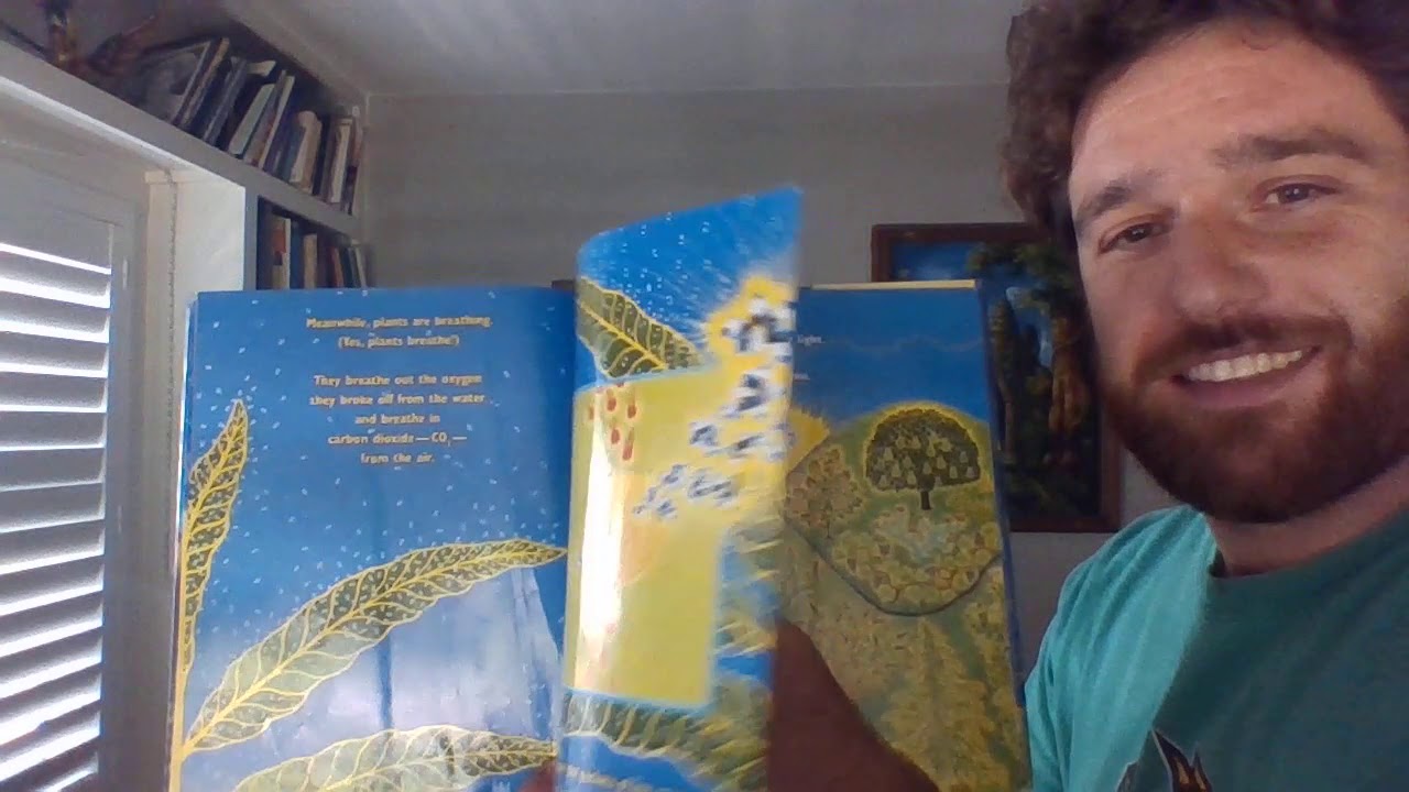 Living Sunlight: How Plants Bring the Earth to Life by Molly Bang and ...