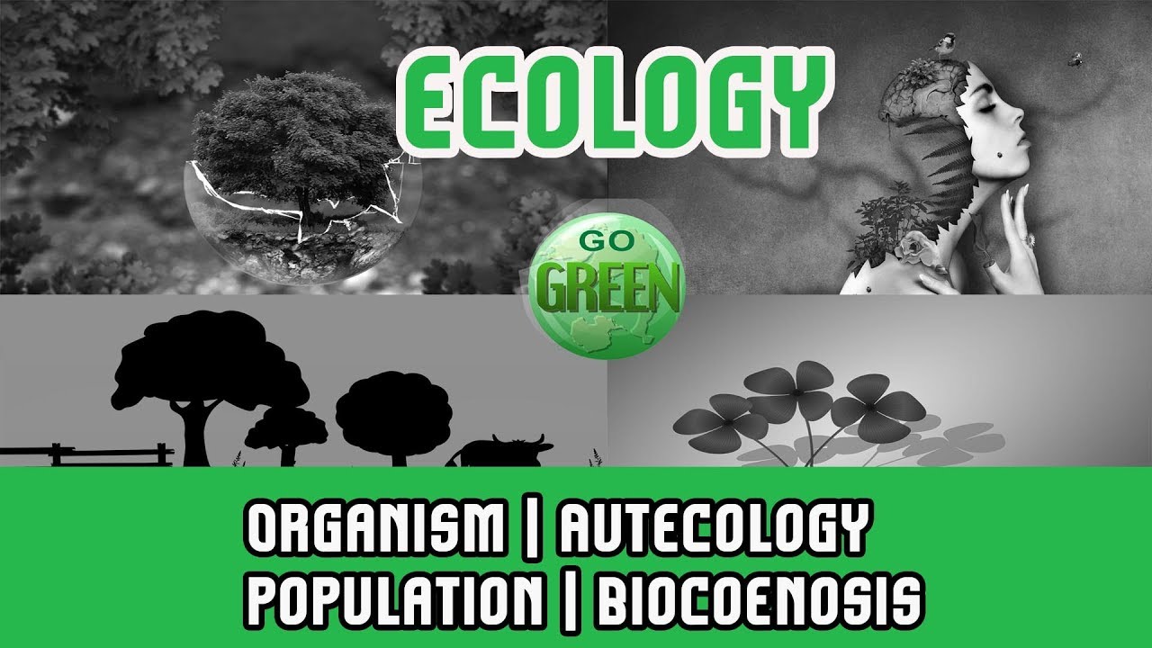 2. Ecology | Organism | Autecology | Population | Biocoenosis ...