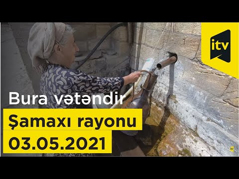 Bura vətəndir - Şamaxı rayonu - Qaleybuqurd kəndi - 03.05.2021