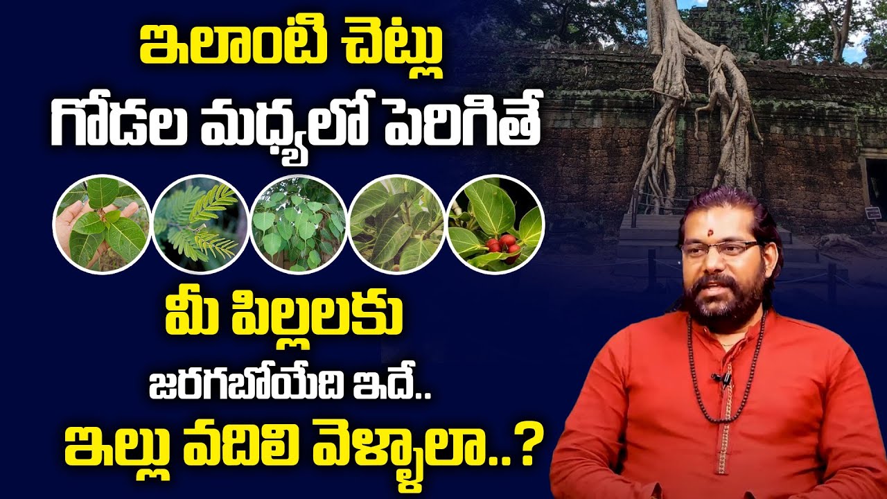 రావి చెట్టు ఇంట్లో పెరిగితే మీ పిల్లలకు జరగబోయేది ఇదే | Importancce of ...