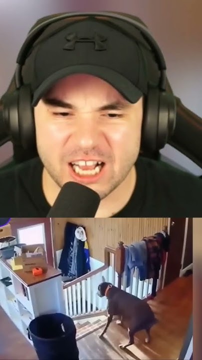 My Viewers Have Perfect Timing And I Cant Laugh Youtube