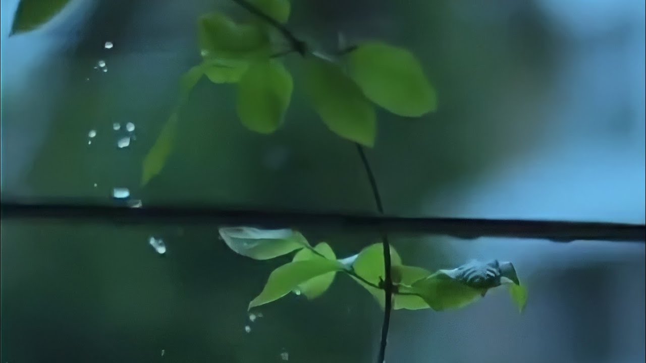 Mausam Mausam Tha Suhana Bada Mausam Rain Status Barish Whatsapp Status