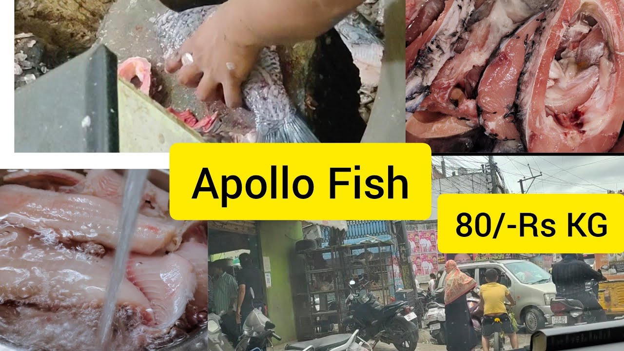Ramnagar Fish Market|| Reasonable Rates|| - YouTube